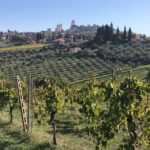 From Livorno: Shore Excursion to Chianti and San Gimignano - What’s Included and What’s Not