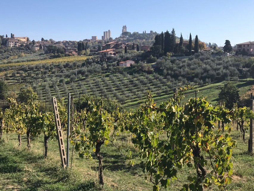 From Livorno: Shore Excursion to Chianti and San Gimignano - What’s Included and What’s Not