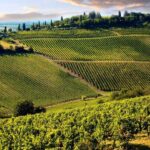 From Livorno: Siena, San Gimignano & Chianti Wine Excursions - An In-Depth Look at the Tour