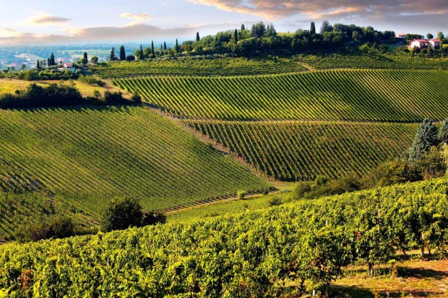From Livorno: Siena, San Gimignano & Chianti Wine Excursions - An In-Depth Look at the Tour
