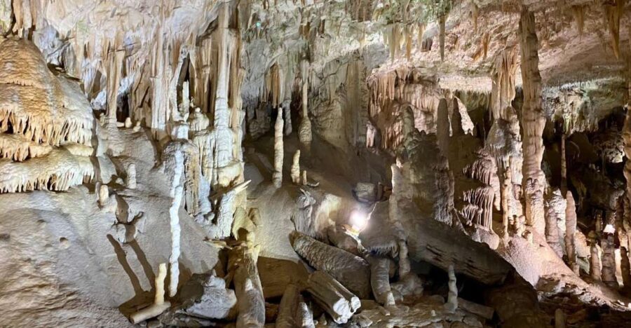 From Ljubljana: Postojna Cave Day Trip