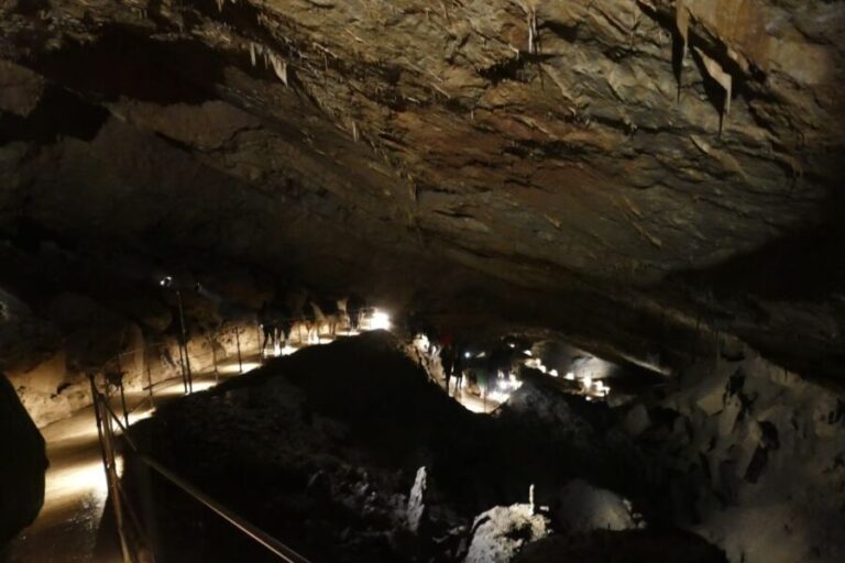 From Ljubljana: Skojan Caves Half-Day Trip - Practical Tips for Travelers