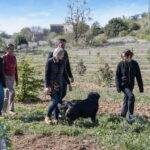 From location: Truffle farm visit, culinary workshop, meal - Practical Details and Tips for Travelers