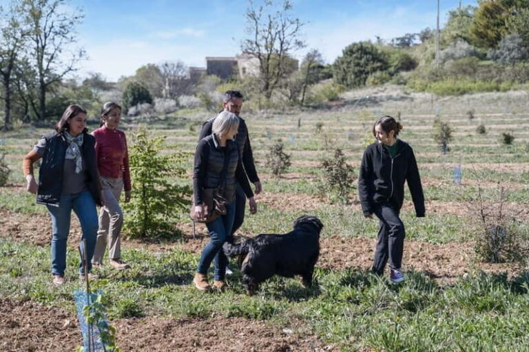 From location: Truffle farm visit, culinary workshop, meal - Practical Details and Tips for Travelers