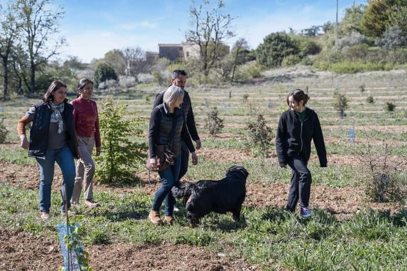 From location: Truffle farm visit, culinary workshop, meal - Practical Details and Tips for Travelers