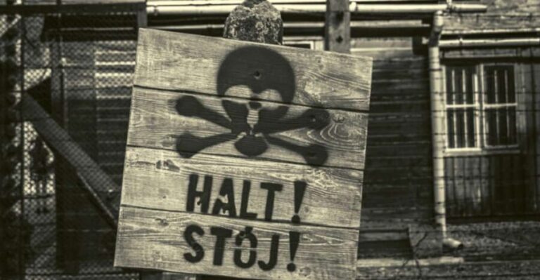 From Lodz: Auschwitz-Birkenau Small-Group Tour with Lunch - Why This Tour Offers Great Value