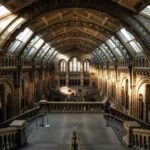 From London: A Private Harry Potter+Oxford University Tour - Assessing the Value