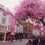 From London: Small-Group Cotswolds Villages In-Depth Day Tour - FAQ