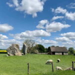 From London: Stonehenge & The Stone Circles of Avebury Tour - Who Will Love This Tour?