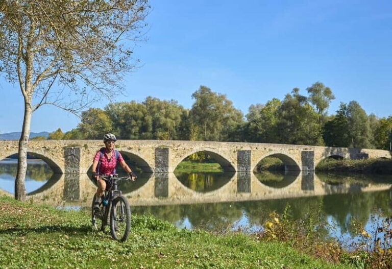 From Lucca to Pisa E-BIKE Tour + Pick-up & Drop-off by Van - What Makes This Tour Stand Out