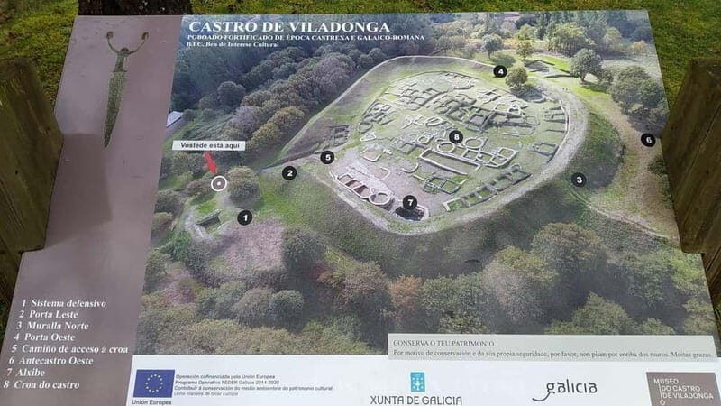 From Lugo: Half-day excursion to the Viladonga Hillfort - A Deep Dive Into the Experience