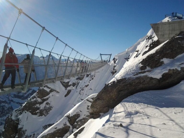 From Luzern: Mt. Titlis Ticket and Self-Guided Alpine Tour - Who Should Book This Tour?