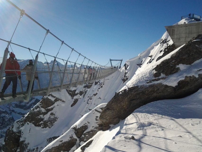 From Luzern: Mt. Titlis Ticket and Self-Guided Alpine Tour - Who Should Book This Tour?