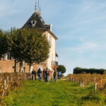 From Lyon: Beaujolais Wine Tour with Tastings - The Value and Your Experience