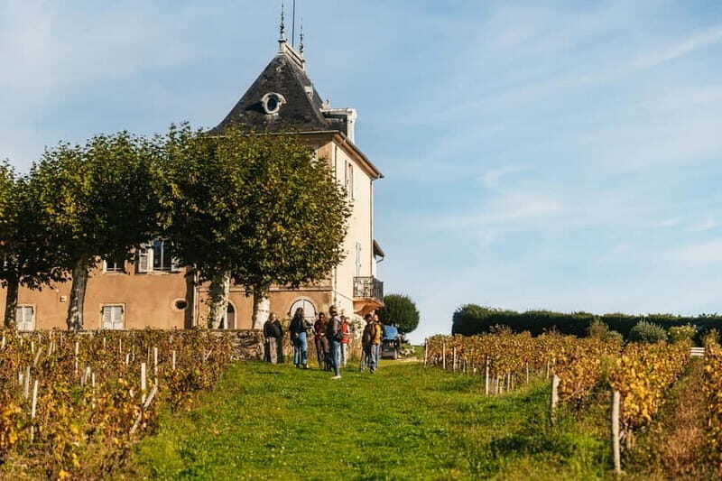From Lyon: Beaujolais Wine Tour with Tastings - The Value and Your Experience