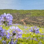 From Madalena: Pico Volcanoes and Lakes Guided Day Tour - Visiting Casa da Montanha