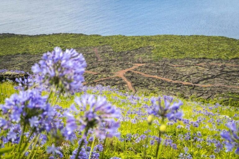 From Madalena: Pico Volcanoes and Lakes Guided Day Tour - Visiting Casa da Montanha