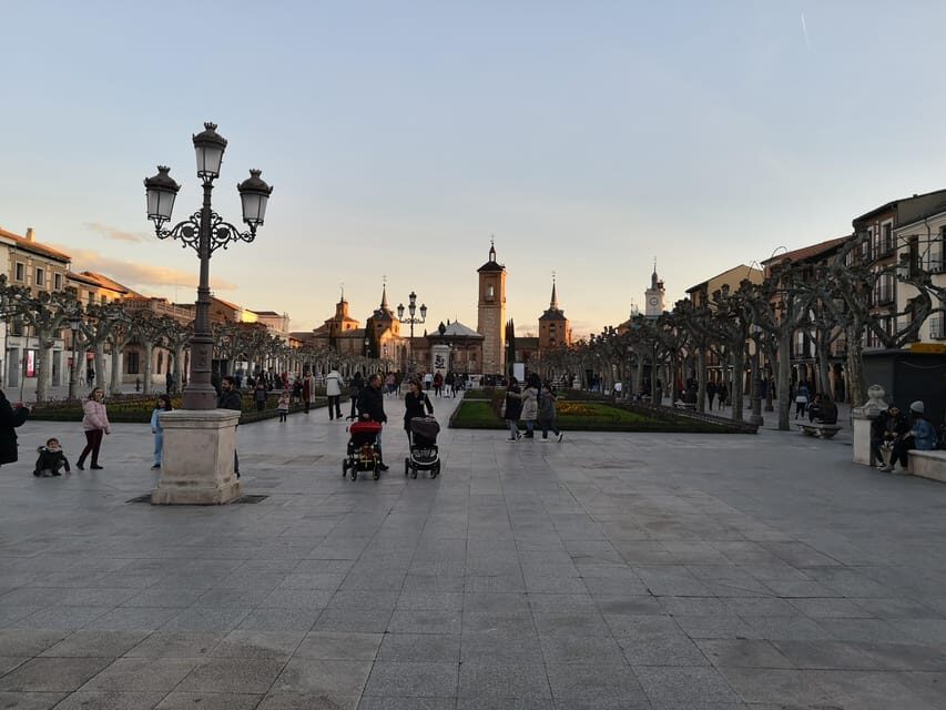 From Madrid: Alcalá de Henares, Winery Tour & Wine Tasting - Transportation and Group Dynamics