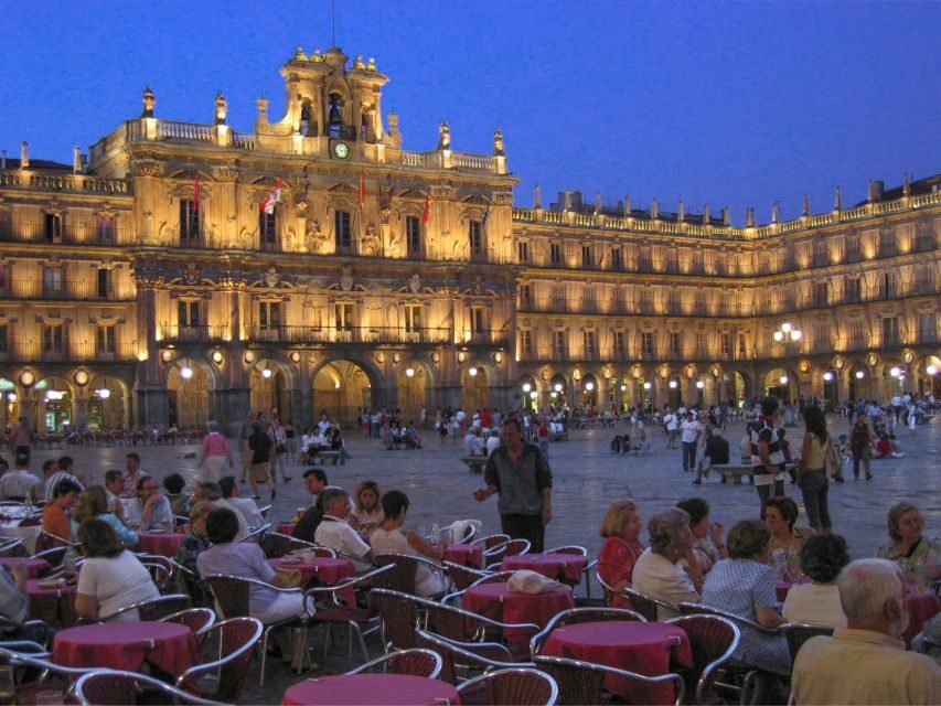 From Madrid: Avila and Salamanca Private Tour - Who This Tour Is Best For