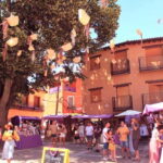 From Madrid: Brihuega Lavender Fields Guided Tour - Who Will Love This Tour?