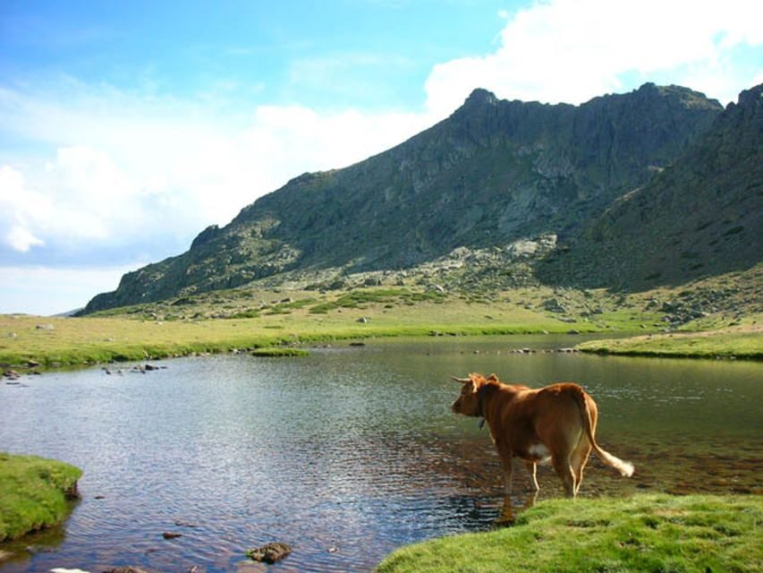 From Madrid: Day Trip to Guadarrama National Park - La Pedriza and the Mountain Passes