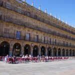 From Madrid: Day Trip to Salamanca with Private Tour - An In-Depth Look at the Salamanca Day Trip