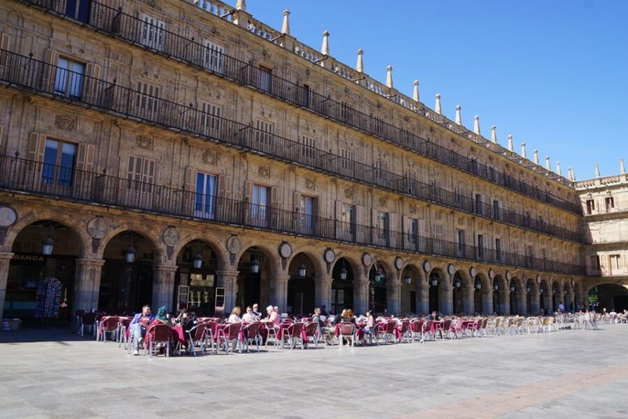 From Madrid: Day Trip to Salamanca with Private Tour - An In-Depth Look at the Salamanca Day Trip
