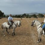 From Madrid: Horseback riding Experience - Who Should Consider This Tour?