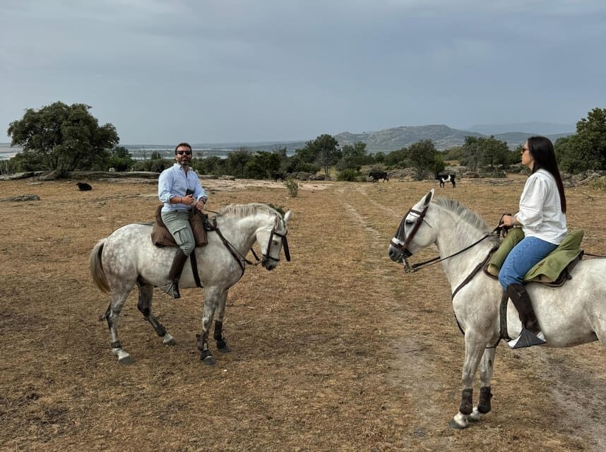From Madrid: Horseback riding Experience - Who Should Consider This Tour?