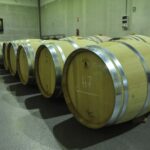From Madrid: Ribera del Duero Tour of 3 Different Wineries - An Honest, In-Depth Review of the Ribera del Duero Tour