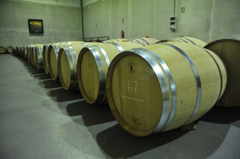 From Madrid: Ribera del Duero Tour of 3 Different Wineries - An Honest, In-Depth Review of the Ribera del Duero Tour