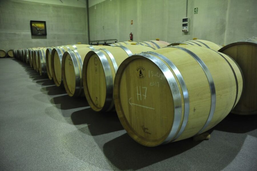 From Madrid: Ribera del Duero Tour of 3 Different Wineries - An Honest, In-Depth Review of the Ribera del Duero Tour