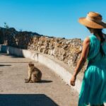 From Malaga and Costa del Sol: Gibraltar Tour - Transportation and Group Experience