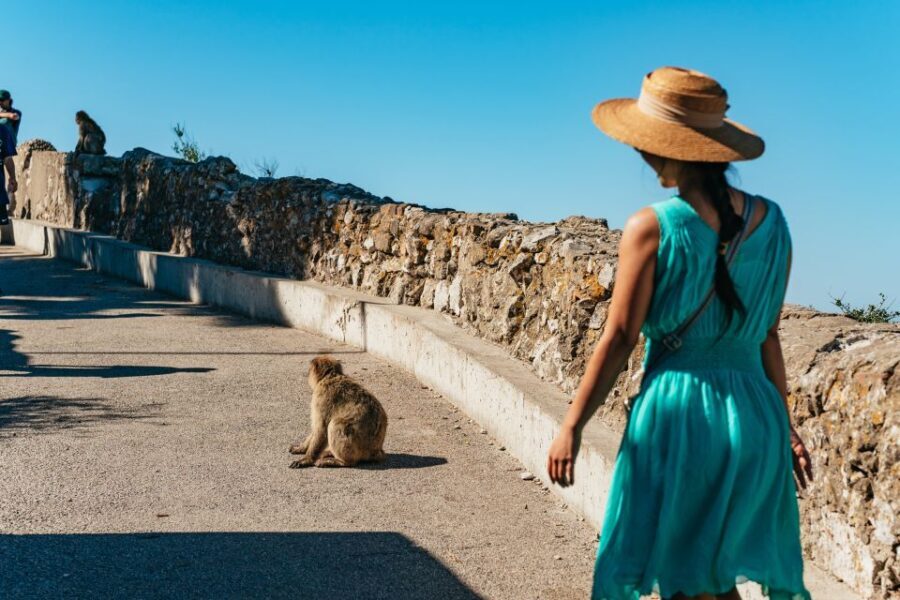 From Malaga and Costa del Sol: Gibraltar Tour - Transportation and Group Experience