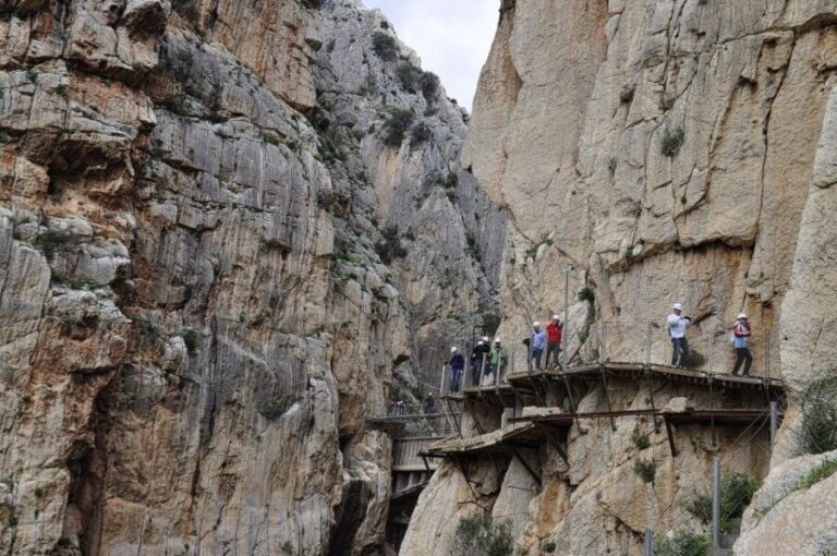 From Malaga: Caminito del Rey and Lake Swimming Private Tour - Price and Value