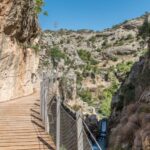 From Málaga: Caminito del Rey Day Trip by Bus - Transportation and Logistics