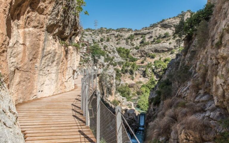 From Málaga: Caminito del Rey Day Trip by Bus - Transportation and Logistics