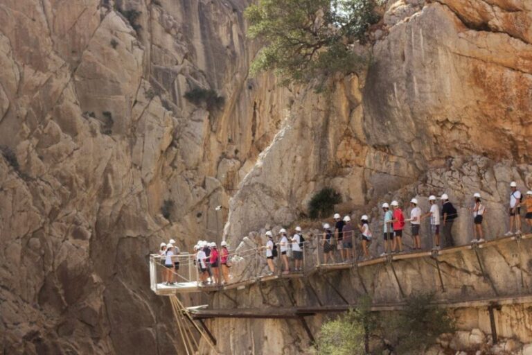 From Málaga: Caminito del Rey Full-Day Tour - What to Expect on the Tour