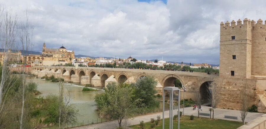 From Malaga: Cordoba Day Trip and Mosque-Cathedral - Frequently Asked Questions (FAQs)