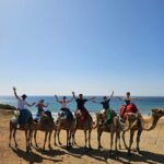From Malaga: Gibraltar and Tangier Private Day Trip - Practical insights and what travelers say