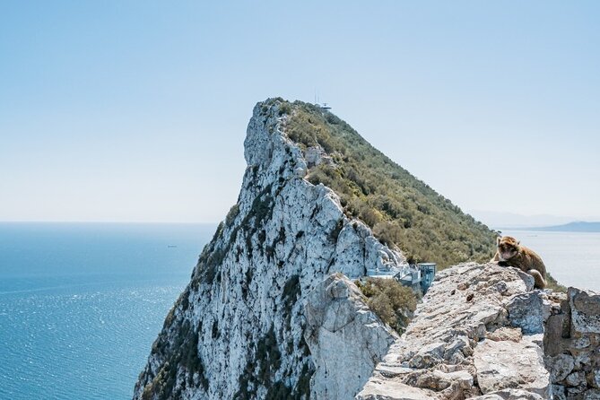 From Malaga, Gibraltar excursion with transport - Key Points