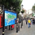 From Málaga or Marbella: Private Gibraltar Tour - An In-Depth Look at the Gibraltar Private Tour