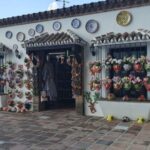 From Malaga: Private guided tour of Marbella, Mijas, Banús - The Itinerary: What to Expect From Dawn to Dusk