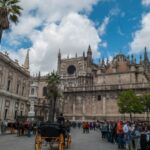 From Malaga: Private Seville, Alcazar and Cathedral Day Trip - The Practical Value: Cost and Convenience