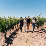 From Málaga: Ronda, Wine & Olive Oil Tasting Small Group - What Makes This Tour Special