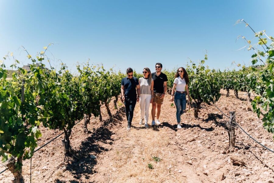 From Málaga: Ronda, Wine & Olive Oil Tasting Small Group - What Makes This Tour Special