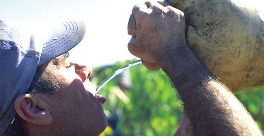 From Marbella: Axarquia Wine Tour with Wine Pairing Lunch - Introduction to the Axarquia Wine Tour