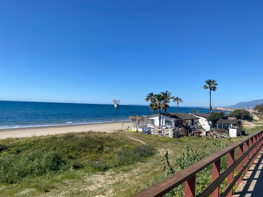 From Marbella: Guided Bicycle Tour to Puerto Banús - An Overview of the Experience