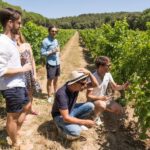 From Marseille: Bandol & Cassis Full-day Wine tour - Practical tips and considerations