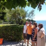 From Marseille: Bandol/Cassis Wine Tour with Viewpoint - Transportation, Timing, and Group Size
